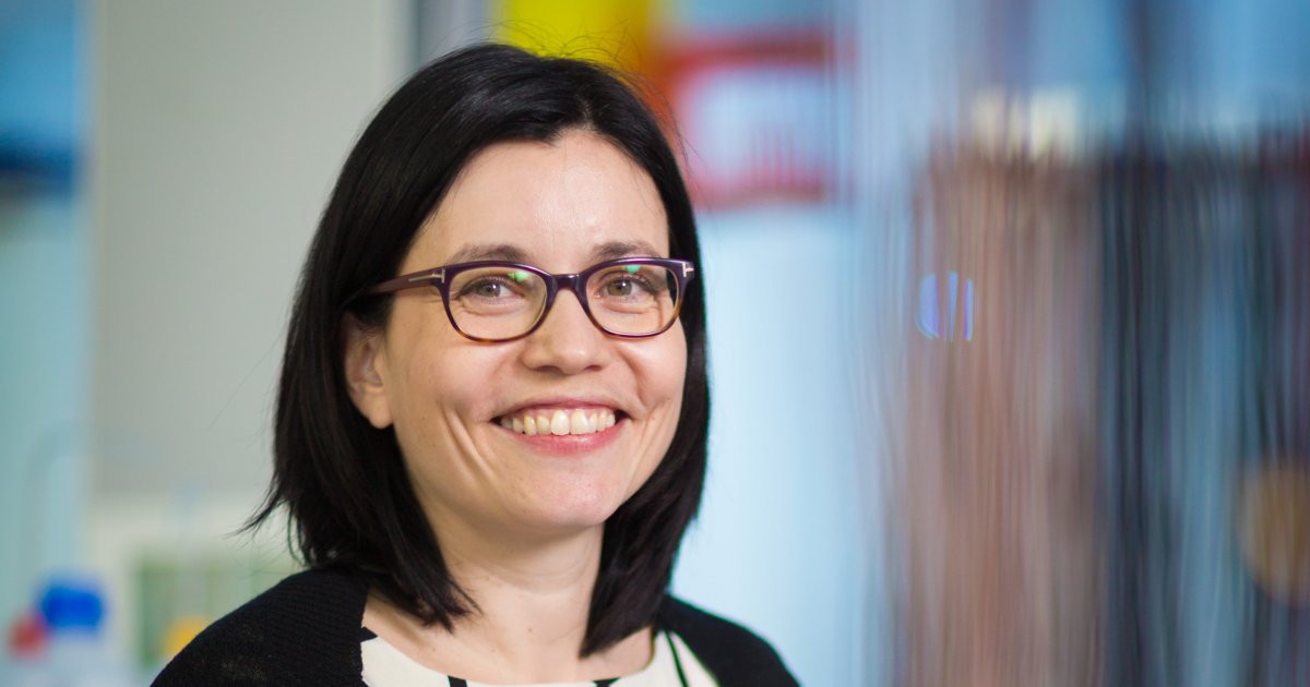 PhD-student position on mass production of pancreatic organoids using ...